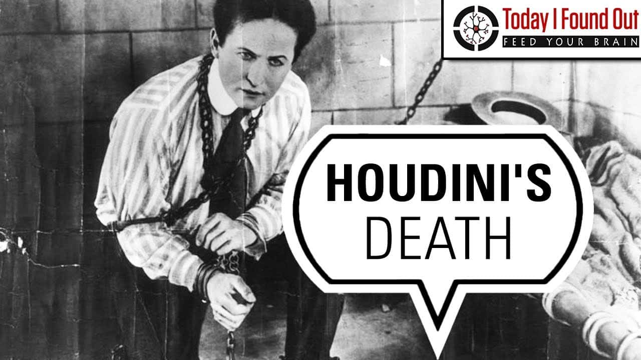 Houdini's Death: The Legends And Theories Surrounding His Final Days ...